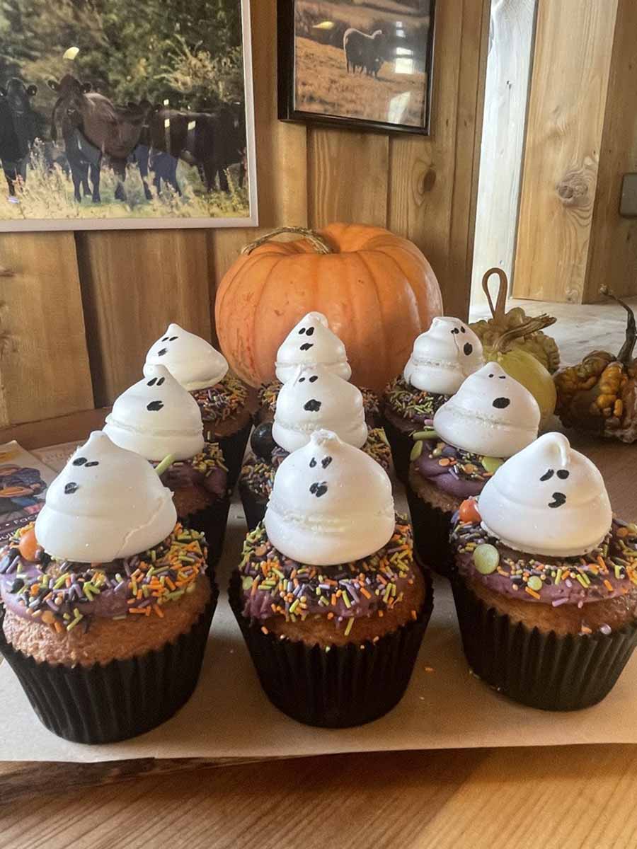 Pick Your Own Pumpkins - Forage