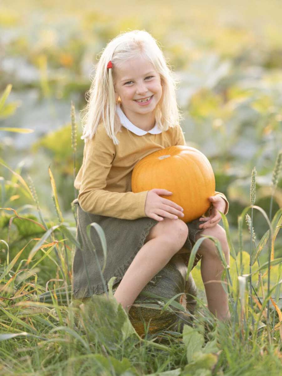 Pick Your Own Pumpkins - Forage