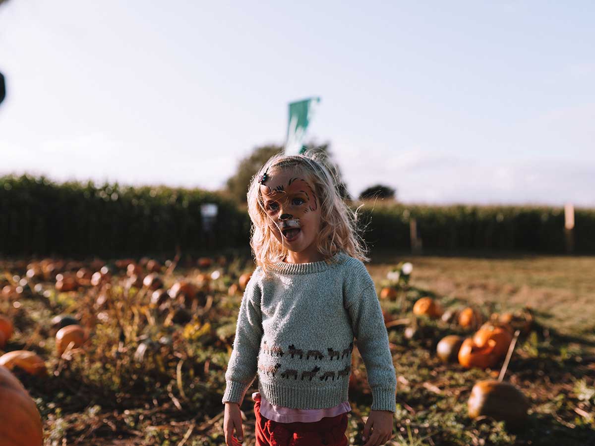 Pick Your Own Pumpkins - Forage