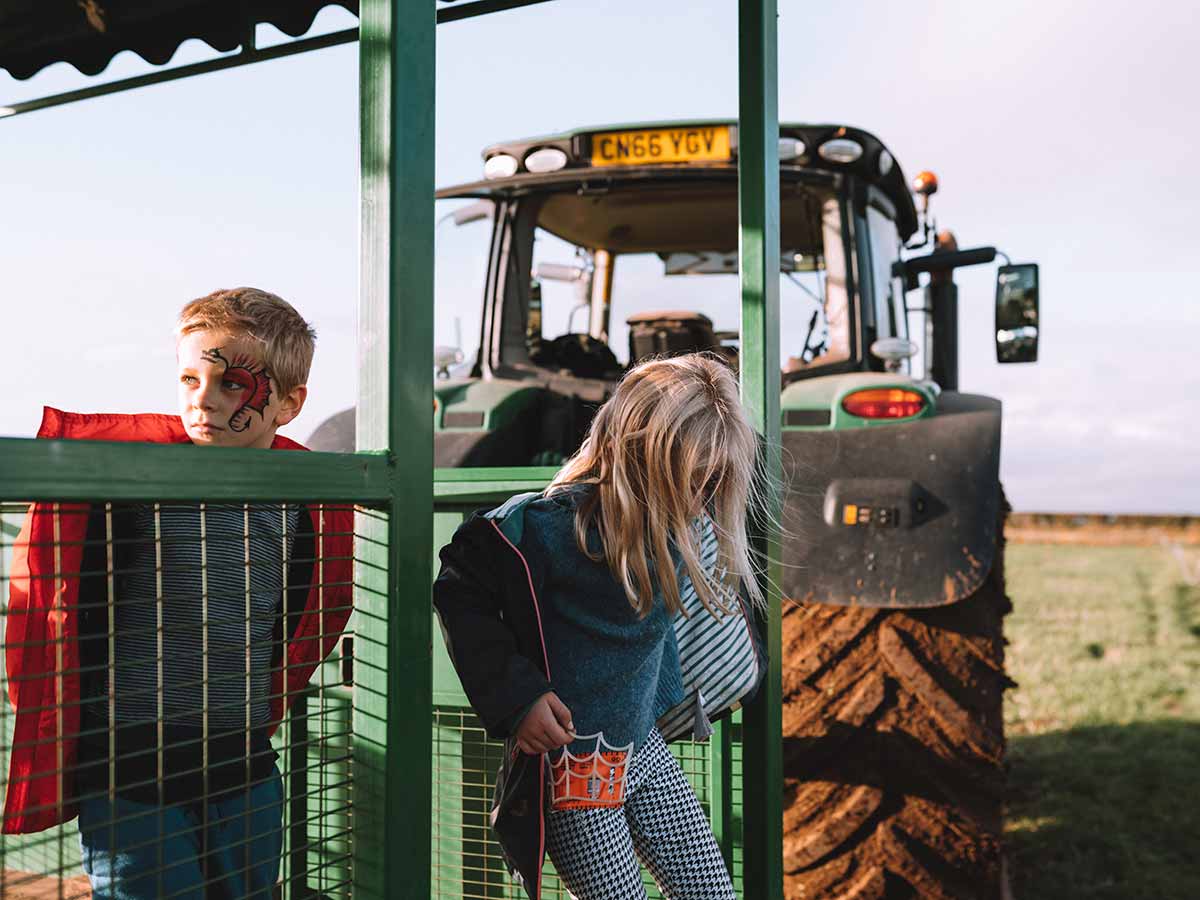 Pick Your Own Pumpkins - Forage