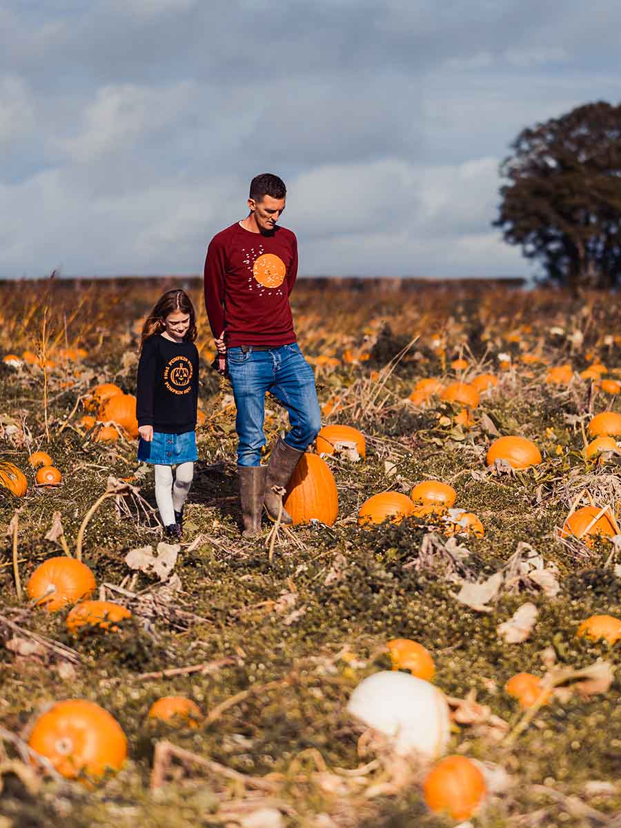 Pick Your Own Pumpkins - Forage