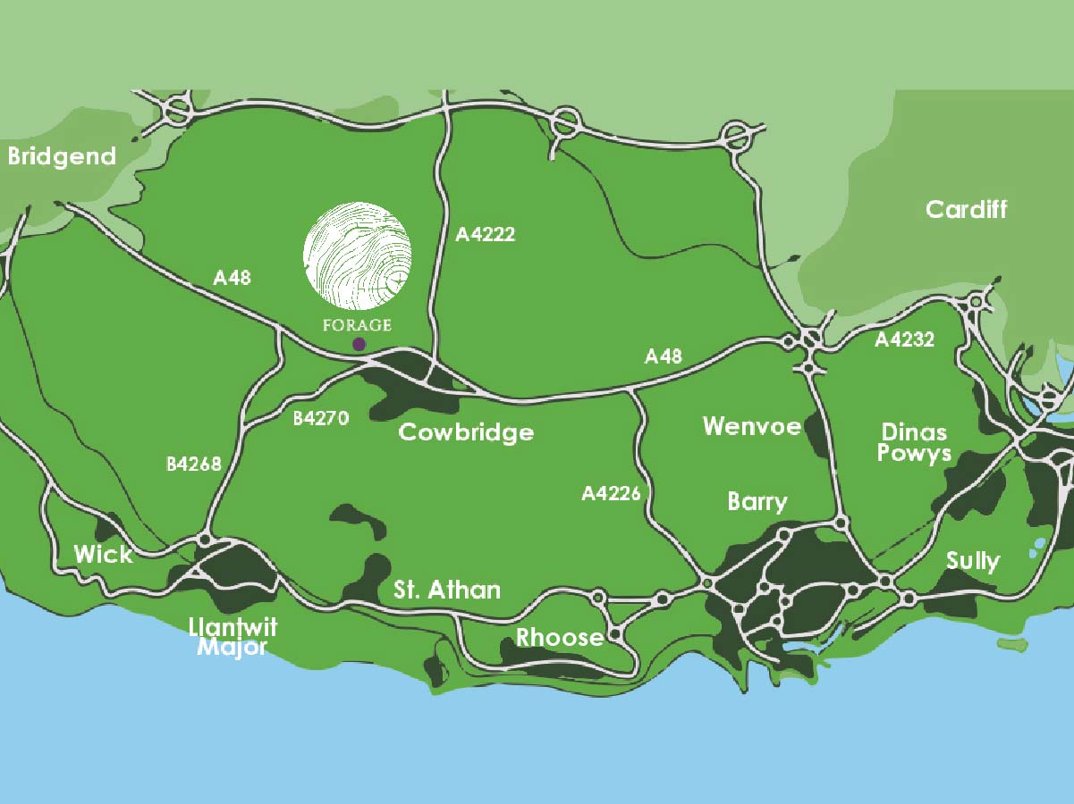 Plan Your Visit - Forage