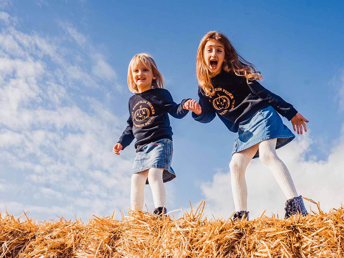 Pick Your Own Pumpkins - Forage