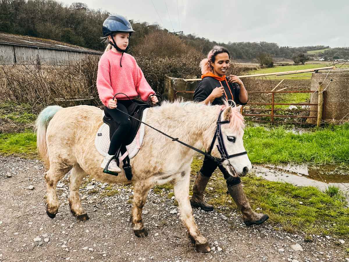 Pick Your Own Pumpkins - Forage
