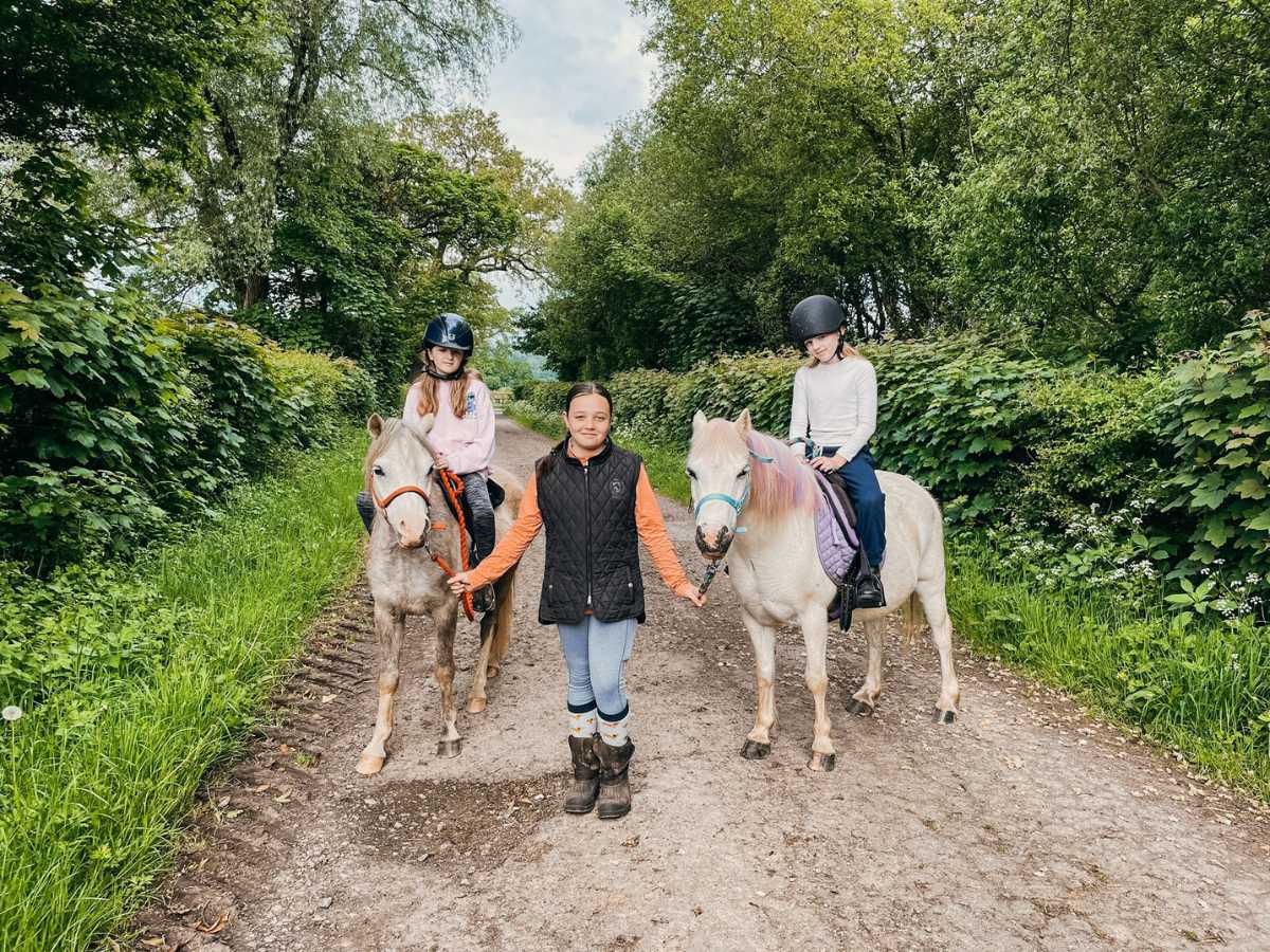 Pick Your Own Pumpkins - Forage
