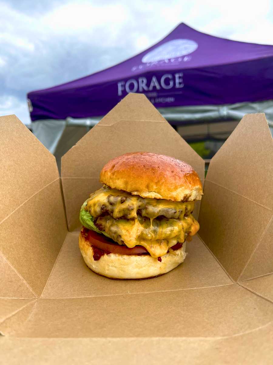 Pick Your Own Pumpkins - Forage